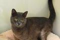 Zuhause in Worms gesucht: Luna und ihre Freunde sind verspielt und ...