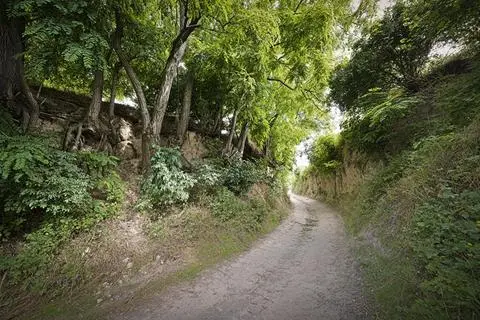 Zwei „Großbaustellen“ beschäftigen die VG Eich 2026