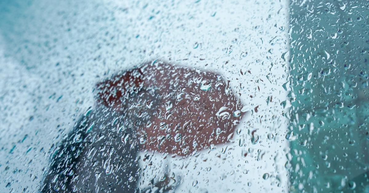 Wormel: Regenfreuden