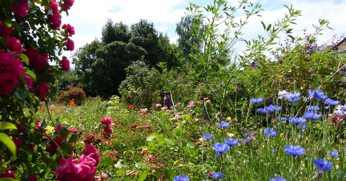 Wormel: Mit Entdeckeraugen