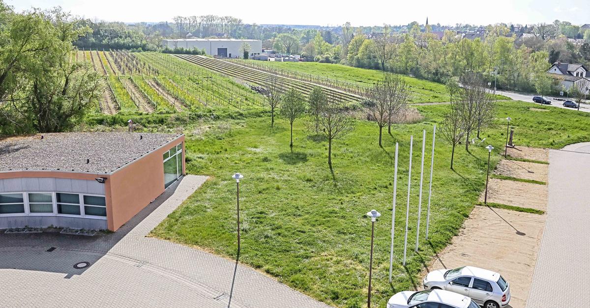 Monsheim passt bei Planung für Kita-Neubau die Größe dem sinkenden ...