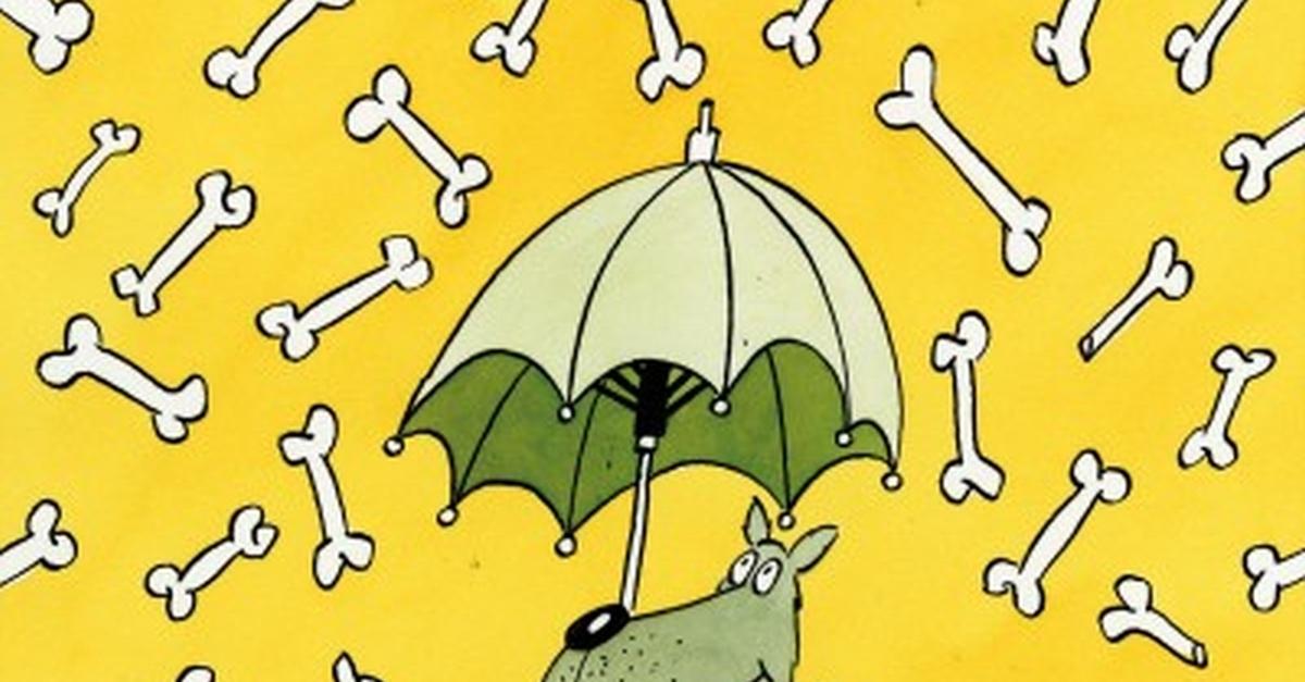 Ein Hauskrokodil namens Hektor: Pfarr-Schau in Frankfurt