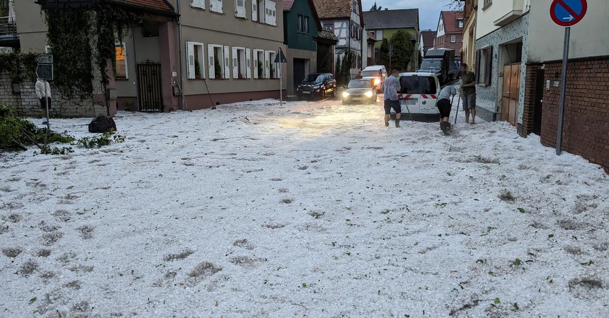 Neues Förderprogramm zur Klimaanpassung in Worms