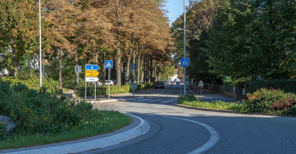 Alzeyer Strasse Worms