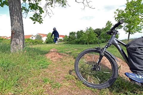 Bewegung im Schlosspark