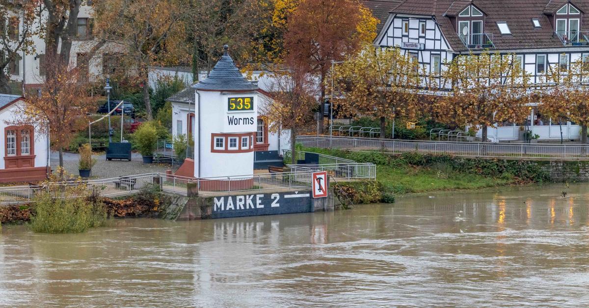 Rheinpegel bei Worms: So war die Lage am Wochenende