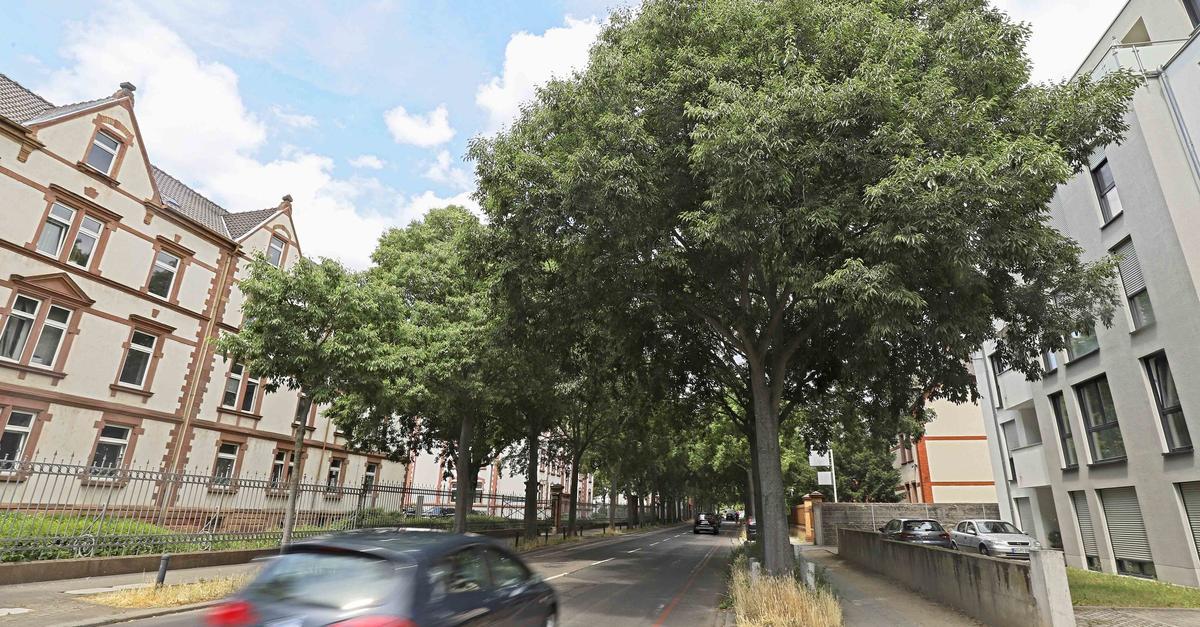 Mainzer Strasse Worms