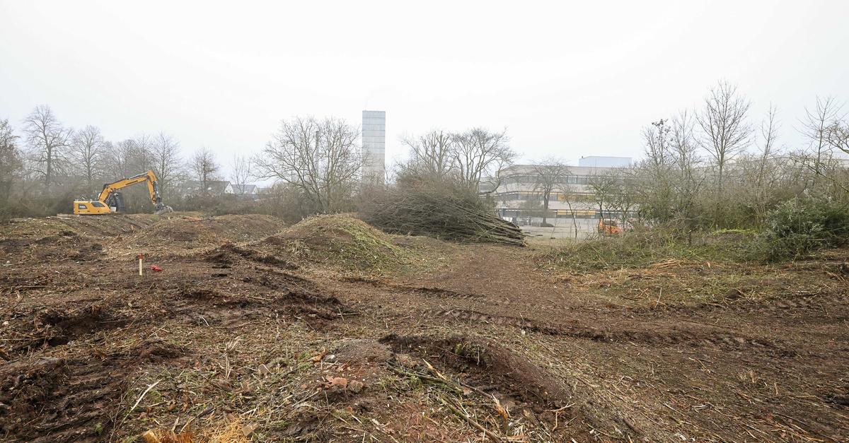 Generalsanierung: Millionenprojekt am Wormser Bildungszentrum geplant