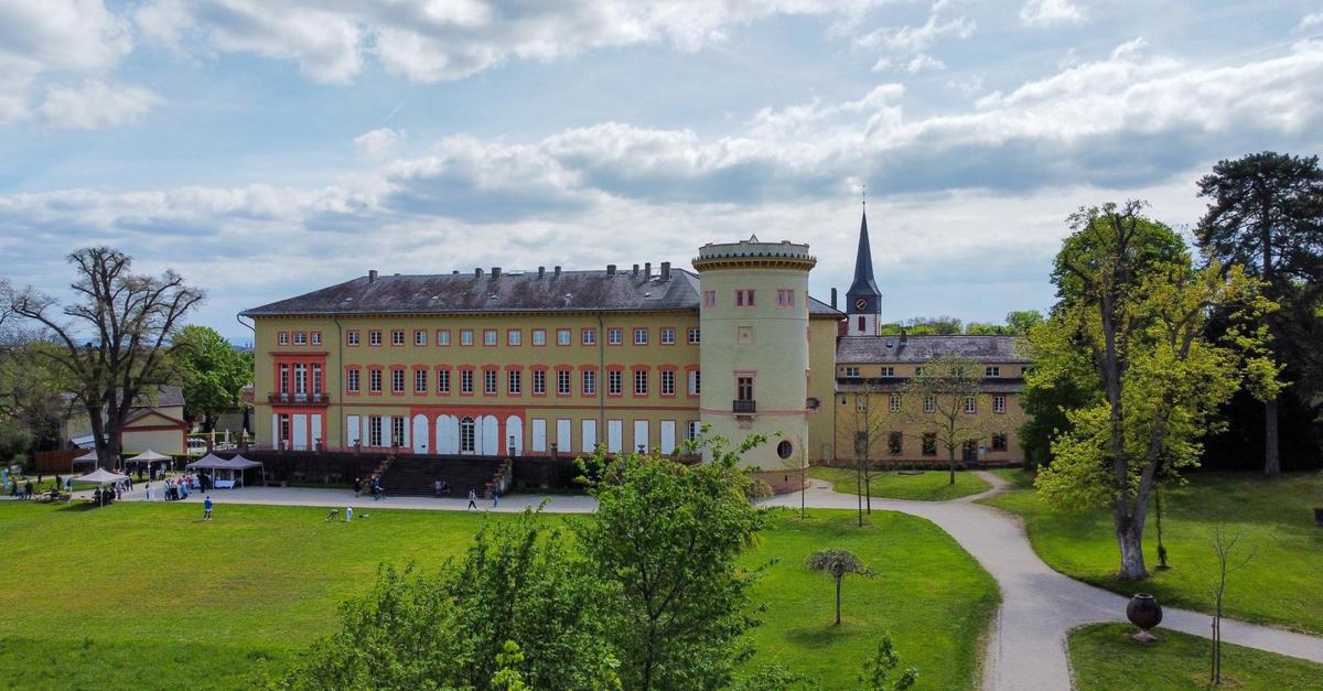 Viele Wormser erkunden Schloss Herrnsheim