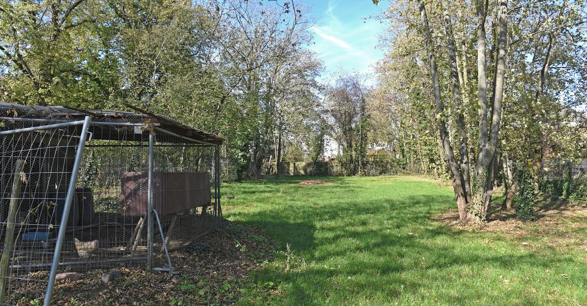 Leiselheim enttäuscht von Stadtdörferprogramm