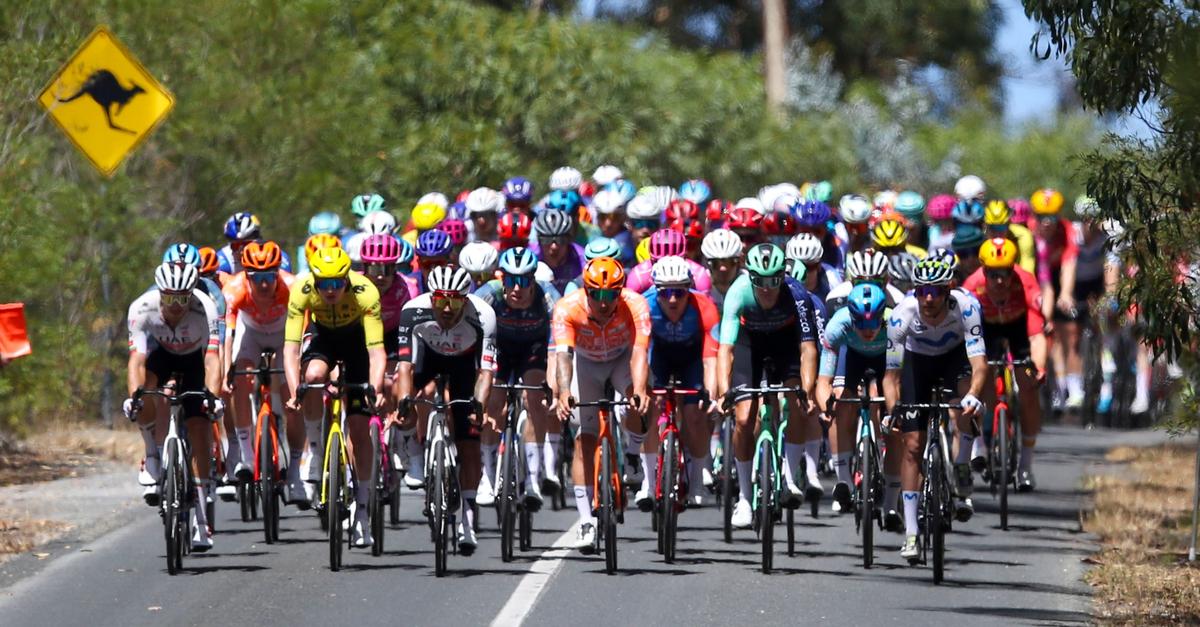 Trotz Crash mit Känguru: Vine gewinnt Tour Down Under